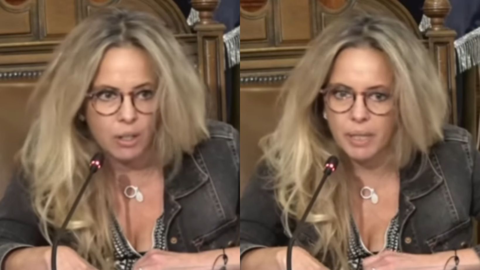 Vanessa Kaiser arremete en plena Comisión de la Mujer : El Periscopio